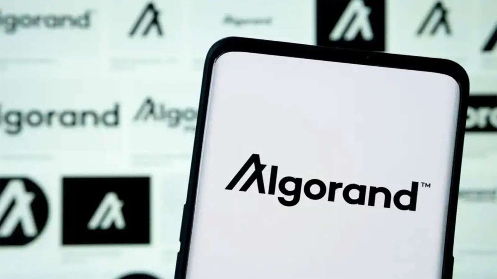 Halligan takes up new role at Algorand after leaving Revolut | Business ...