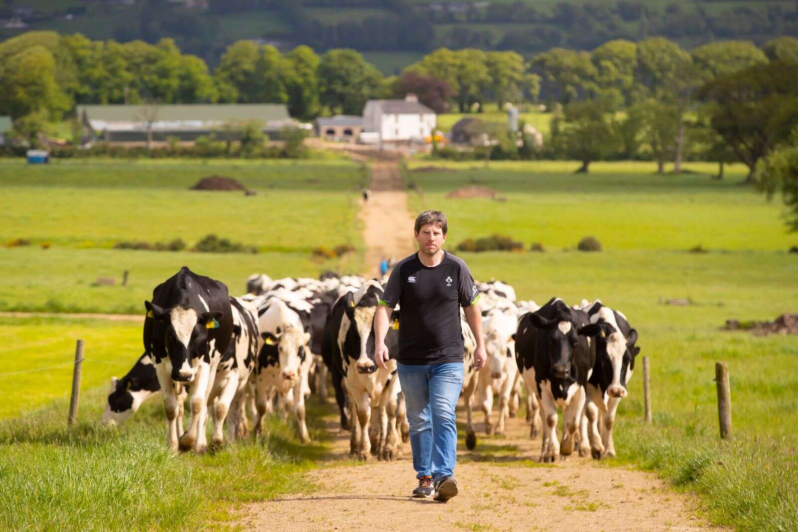 Down on the farm: Why the need to stabilise herd numbers is the ...