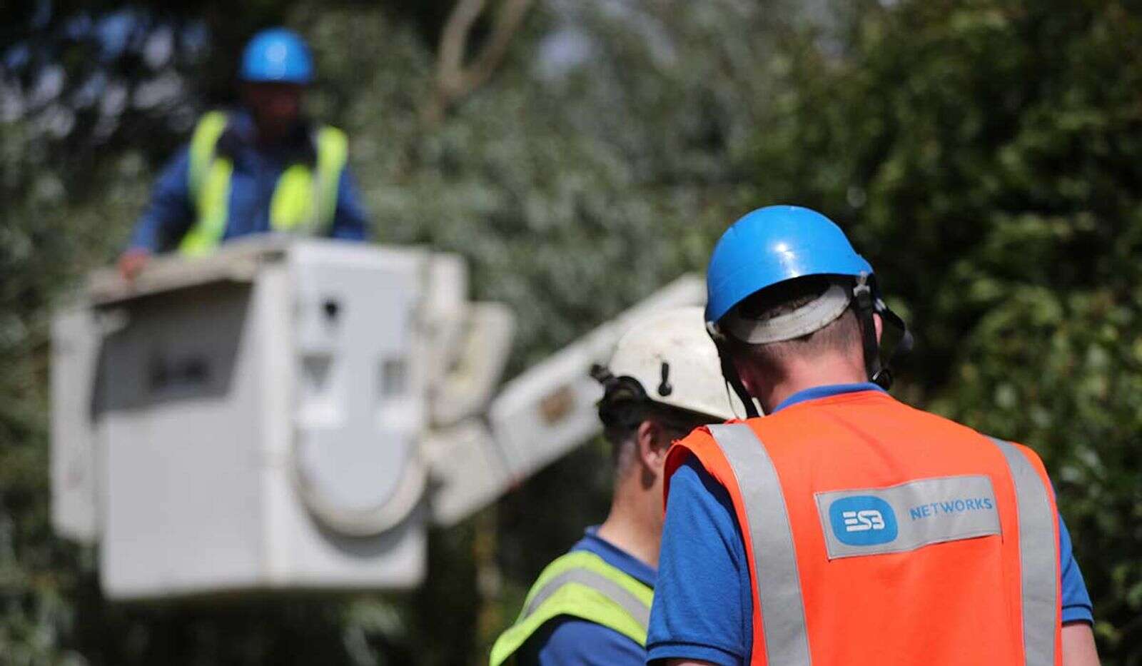 Australian recruiters poaching electrical workers from Ireland, ESB ...