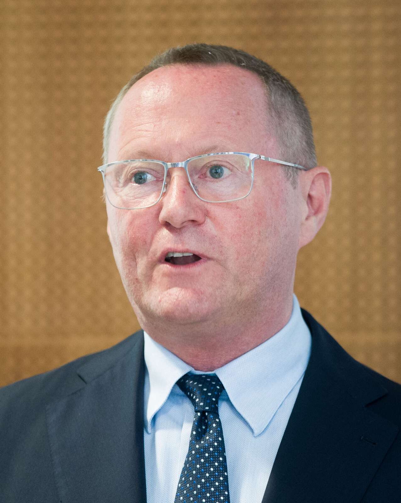 Irish professor elected head of human rights body in Europe | Business Post