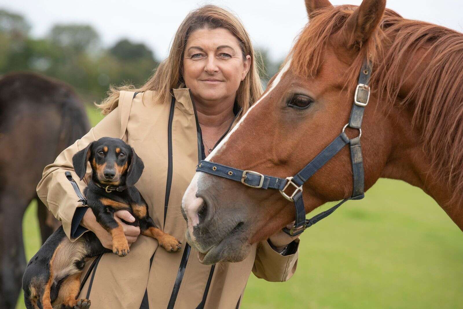 CF Pharma and Telenostic look to success on the double in animal health market | Business Post