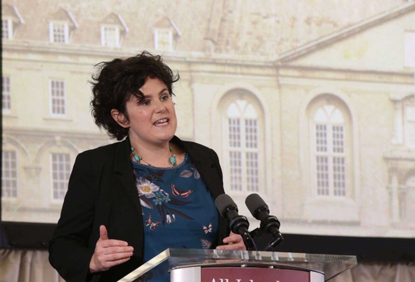 SDLP calls for Irish government to play role in forming NI budget ...