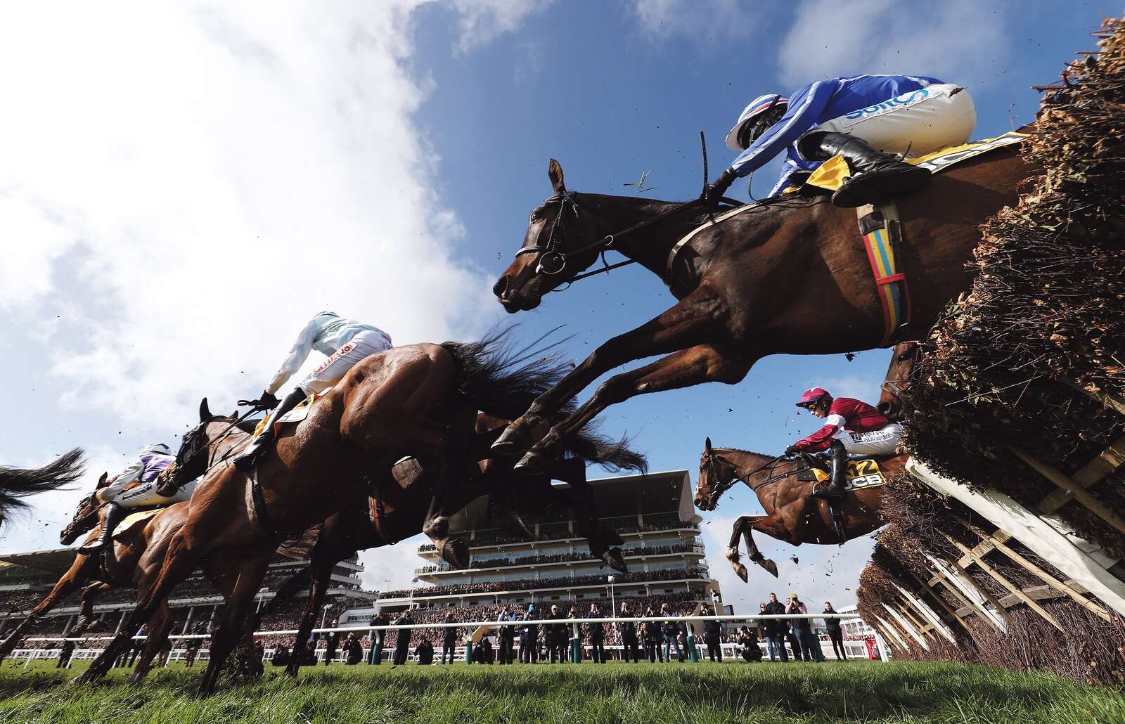 Johnny Ward: Cheltenham barely at the races as prize meeting falls flat ...