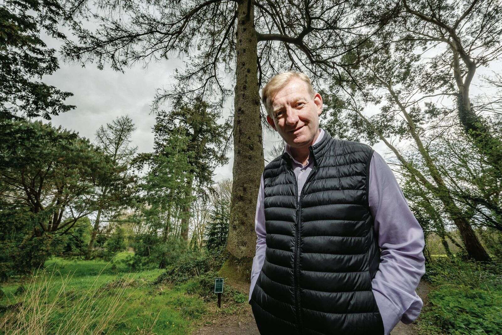 Auction platform for forests aims to put €6m in assets on block in ...