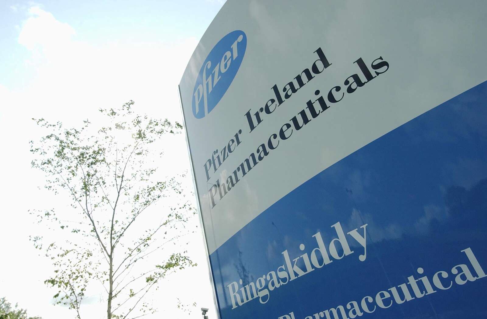 Pfizer plans job cuts at Cork facility | Business Post