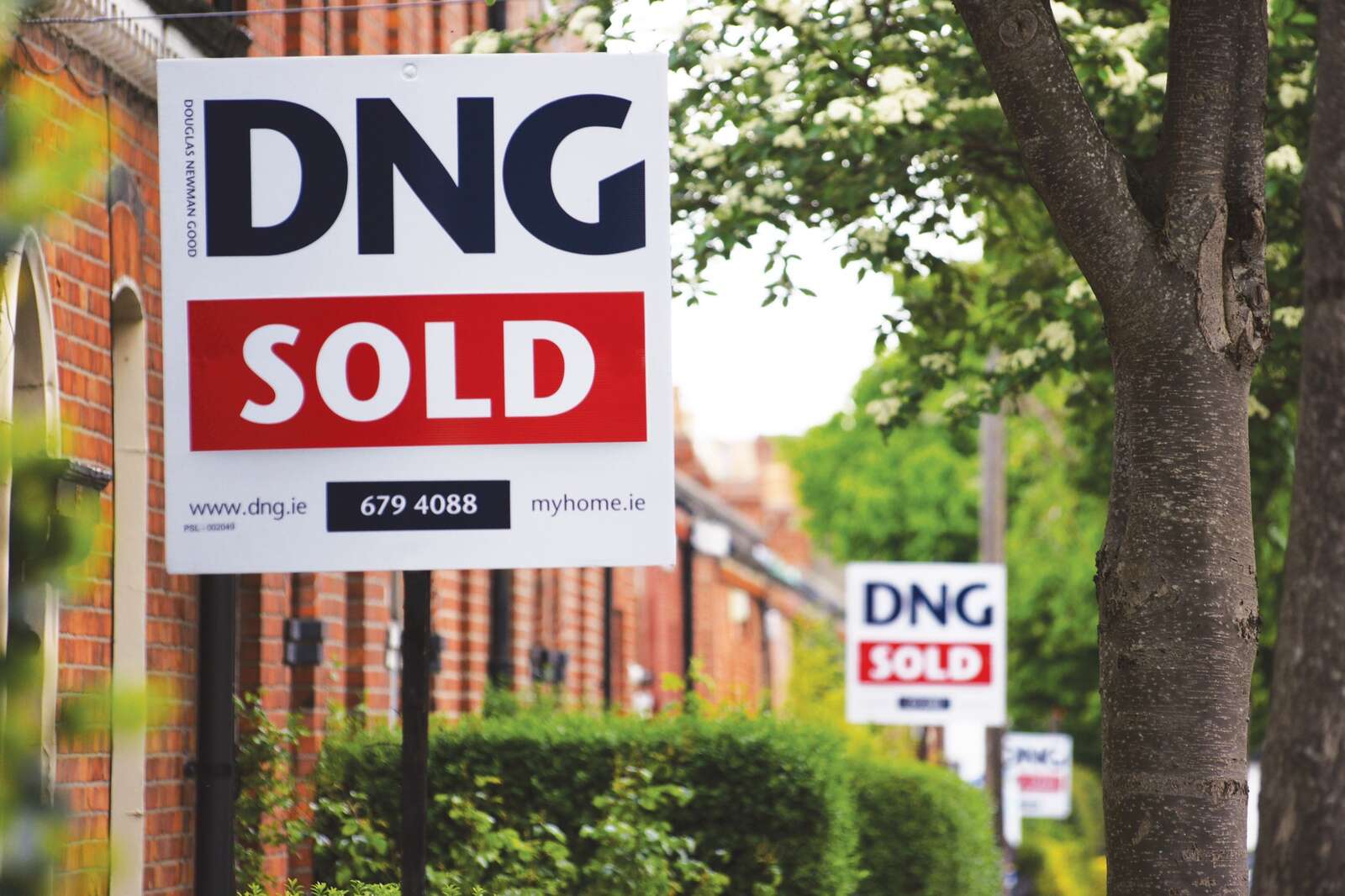 DNG offers 500 places to transition year students on its real estate ...
