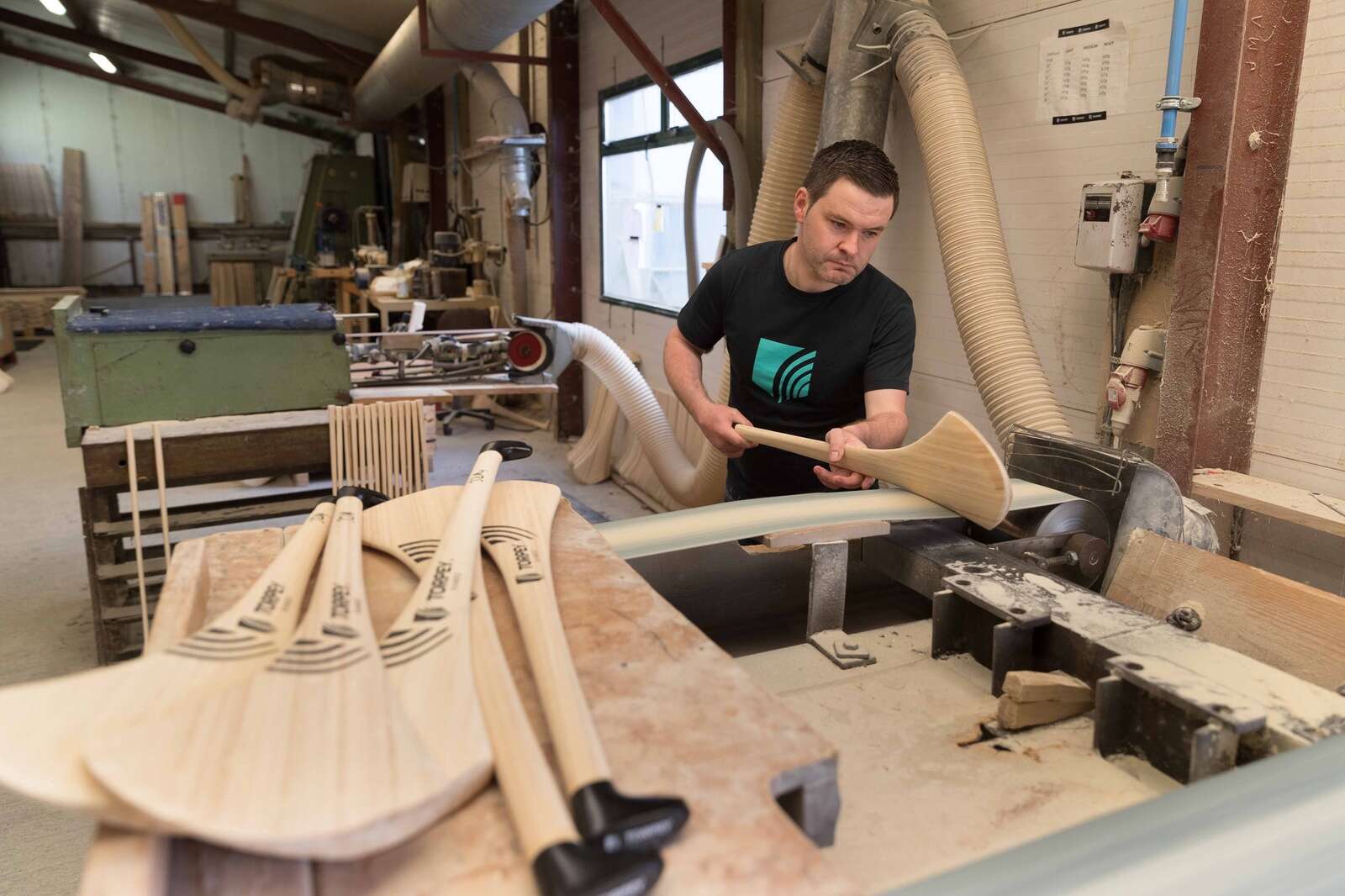 Ash dieback causing delays at hurley maker Torpey | Business Post