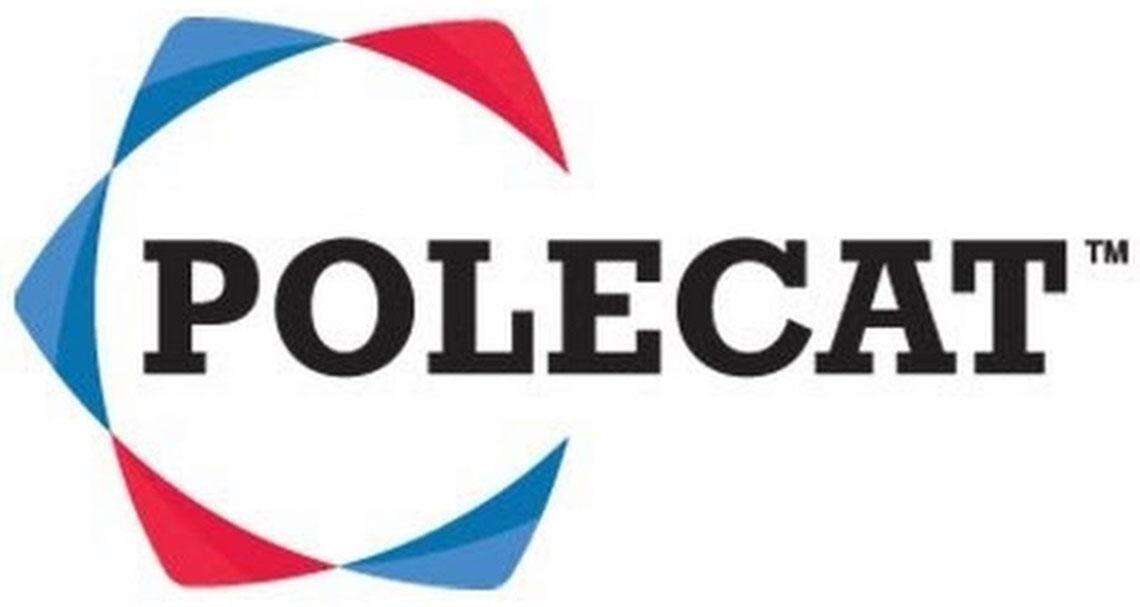 Polecat to double staff after €4.3m investment | Business Post
