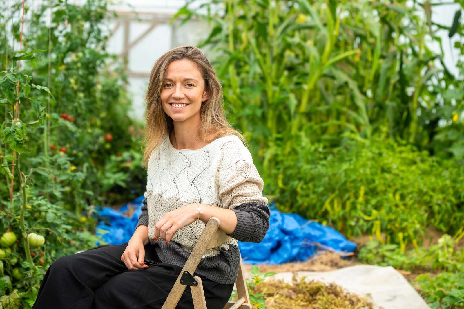 Shane Coleman: Sanctimonious and populist Social Democrats yet to prove ...