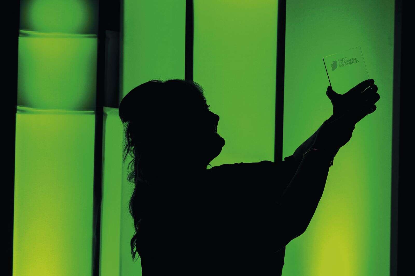 Ireland’s Best Managed Companies lead the way | Business Post