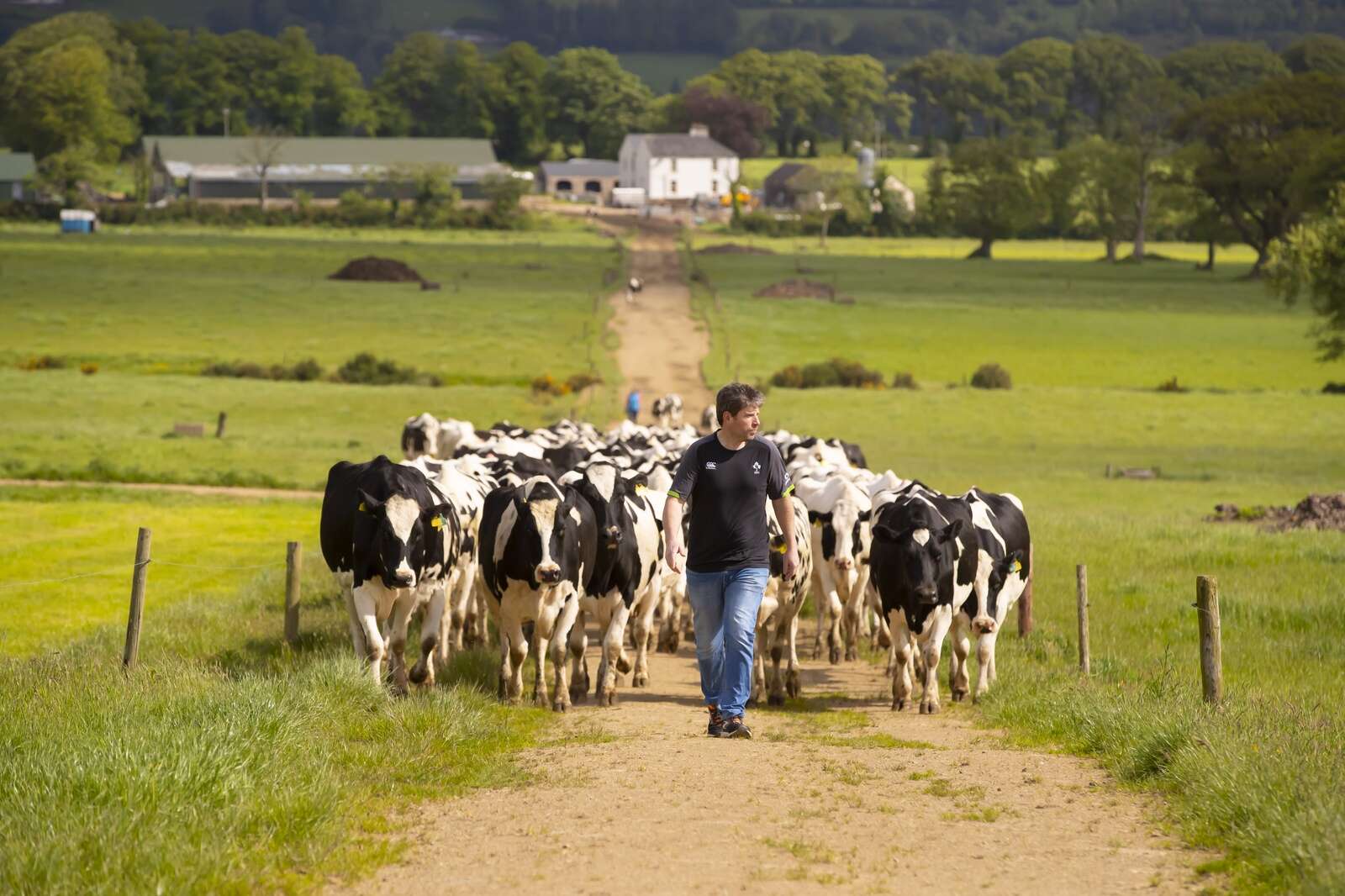 Economic impact of Irish dairy sector estimated at almost €18bn last ...