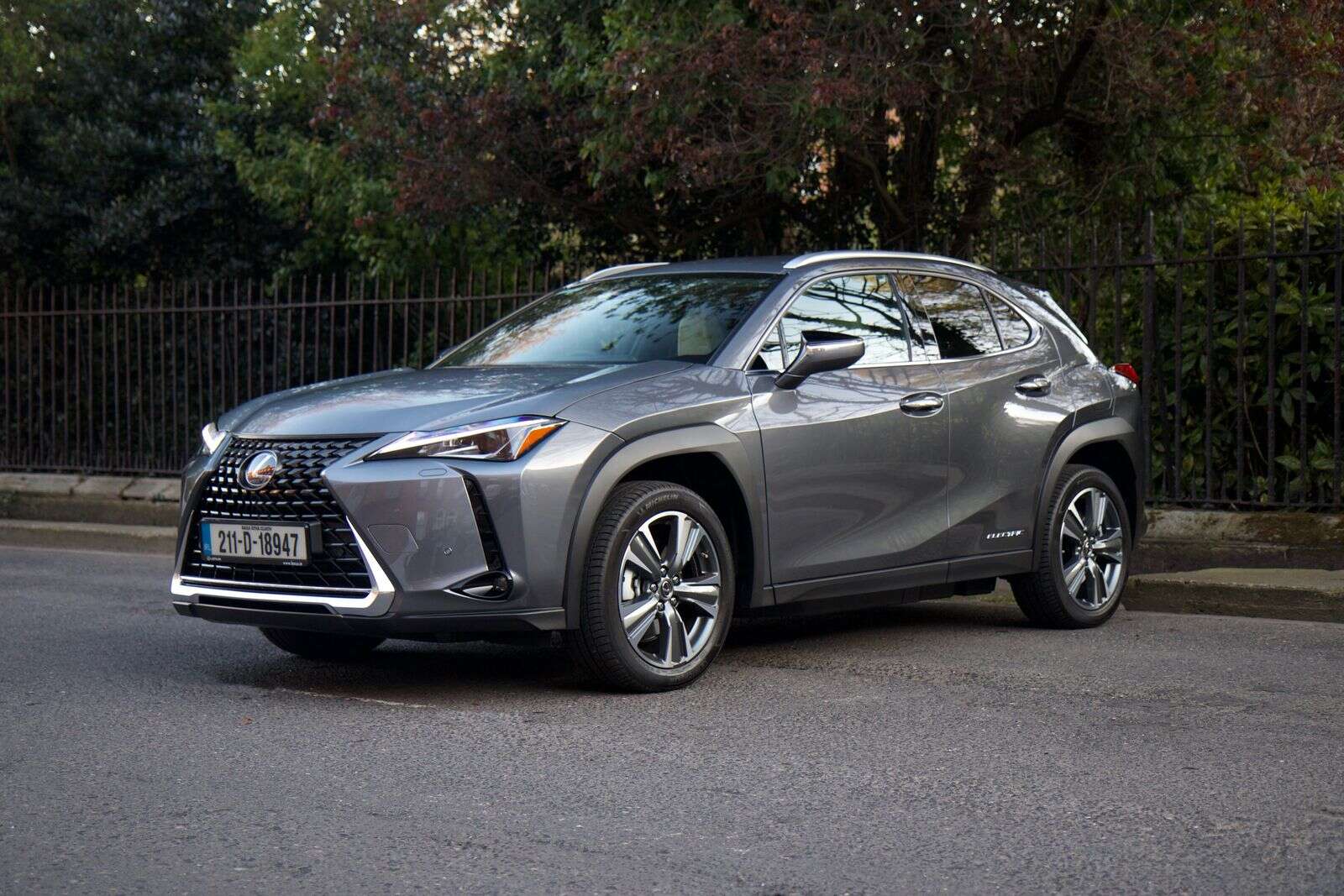 Test drive: First fully electric Lexus arrives in Ireland | Business Post