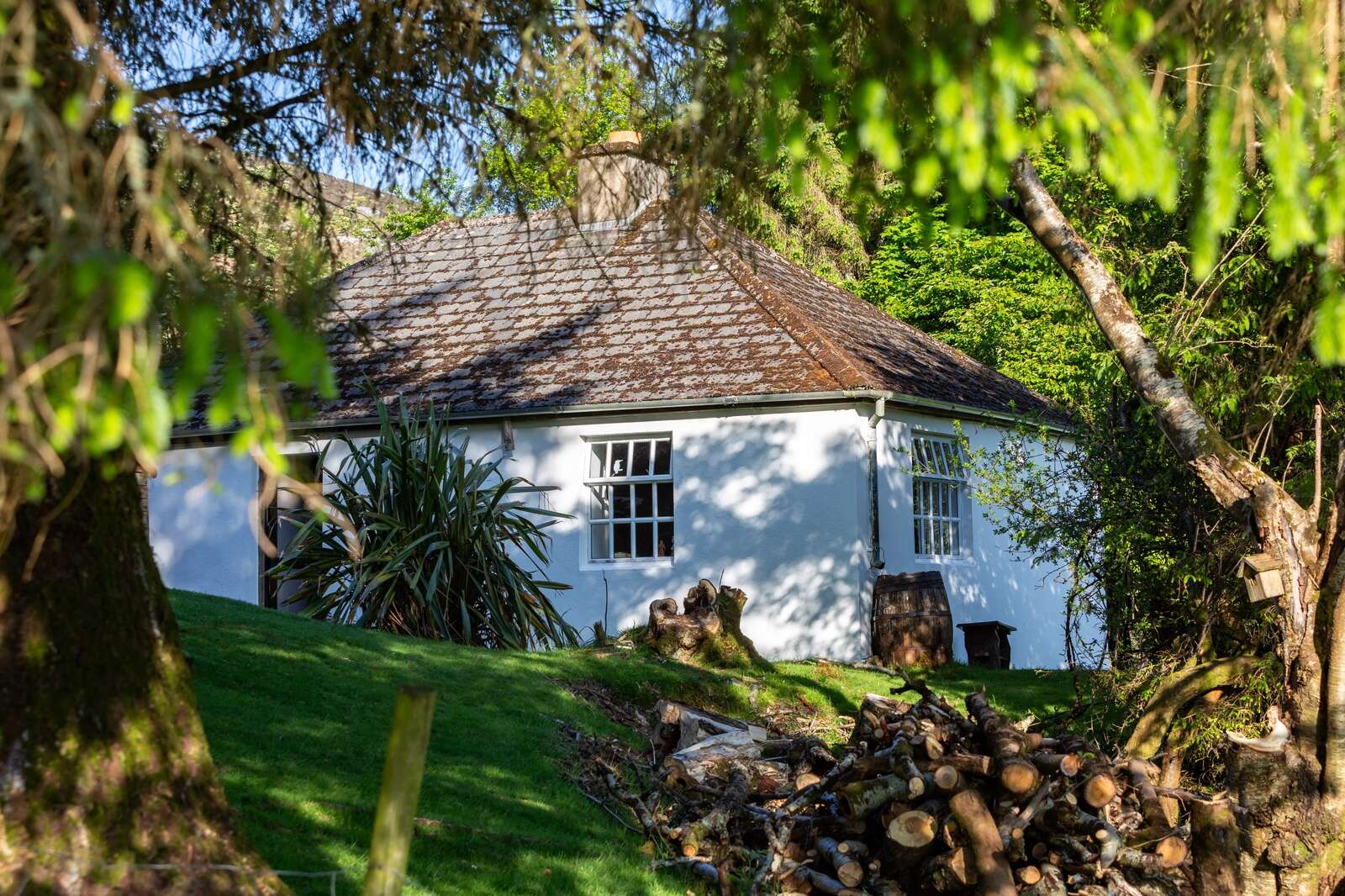 A rare gem: Unique cottage with stunning lake views in Co Wicklow hits ...