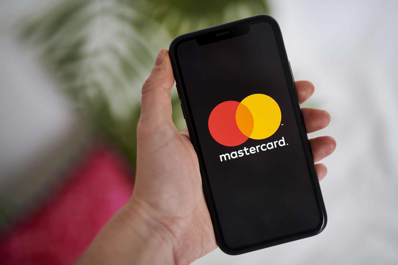 Top Tech Jobs: Mastercard, State Street, Crossover and Revolut | Business Post