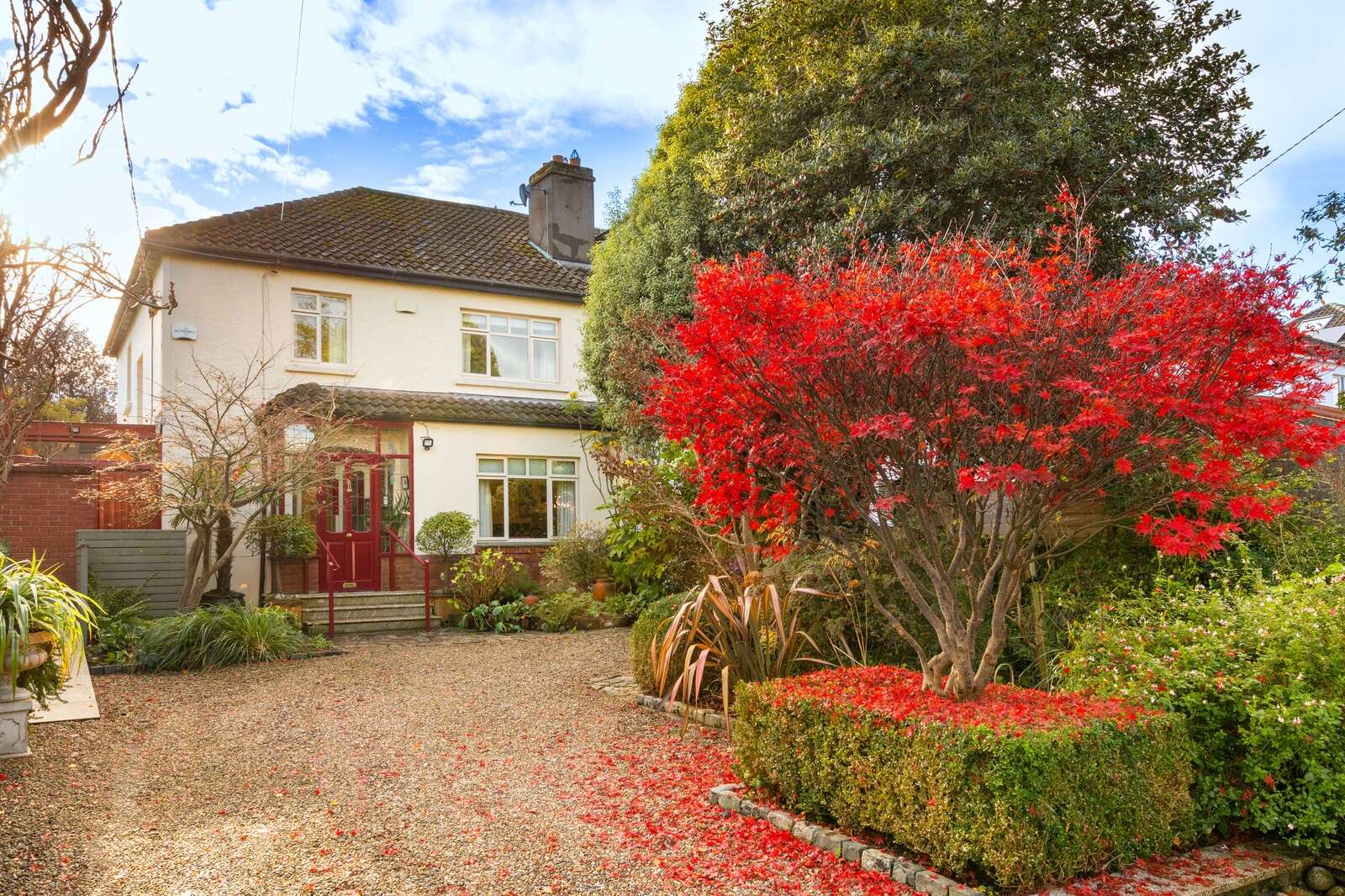 A botanist’s paradise, Aurora’s garden takes centre stage in Blackrock ...