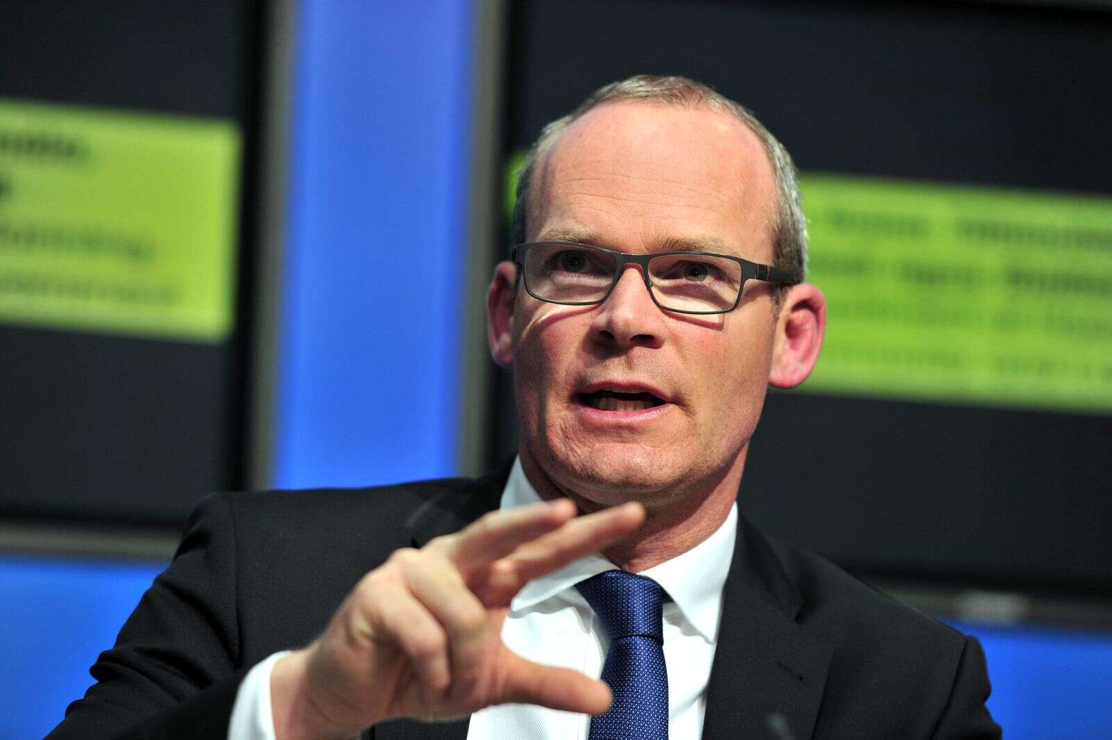 Coveney did not raise issue of Irish staff cuts with Meta boss ...