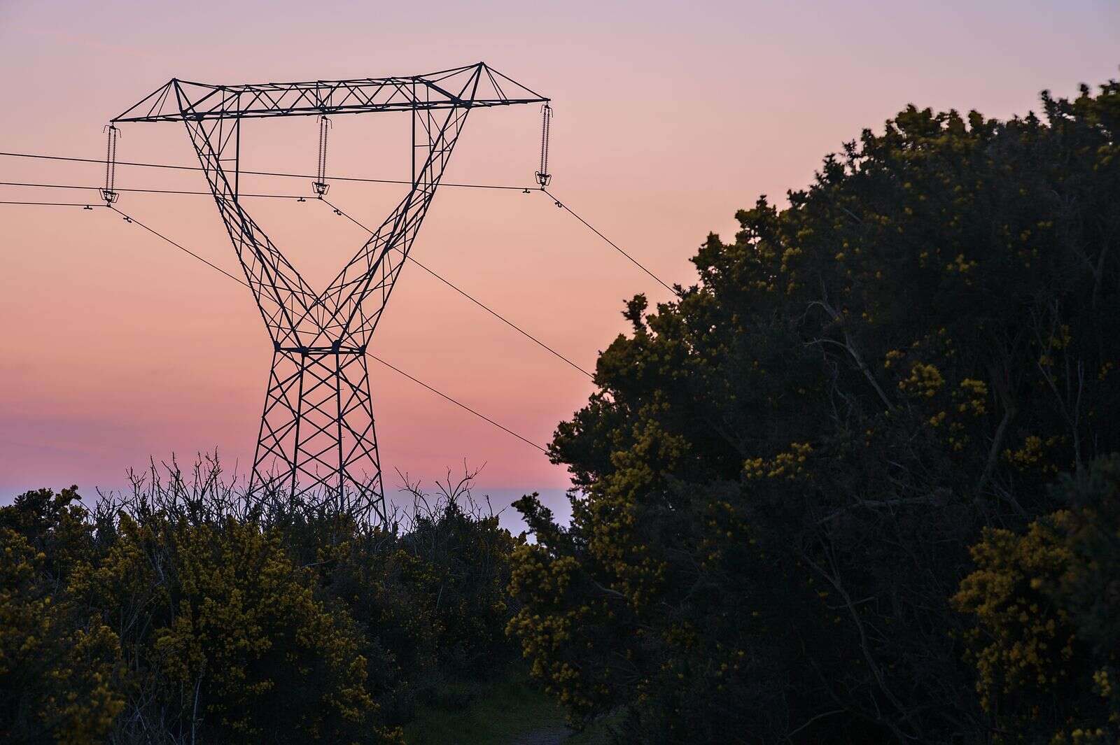 Electricity grid inefficiency charge of €790m contributed to recent ...