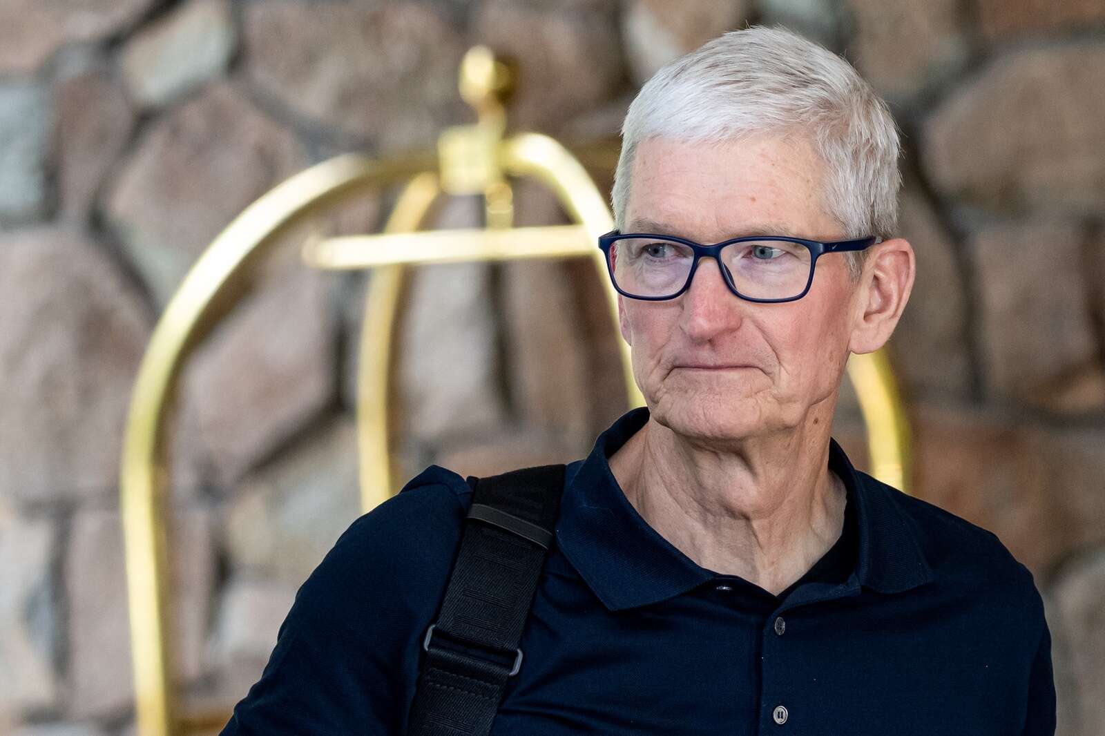 Apple should consider replacing Tim Cook, say analysts | Business Post