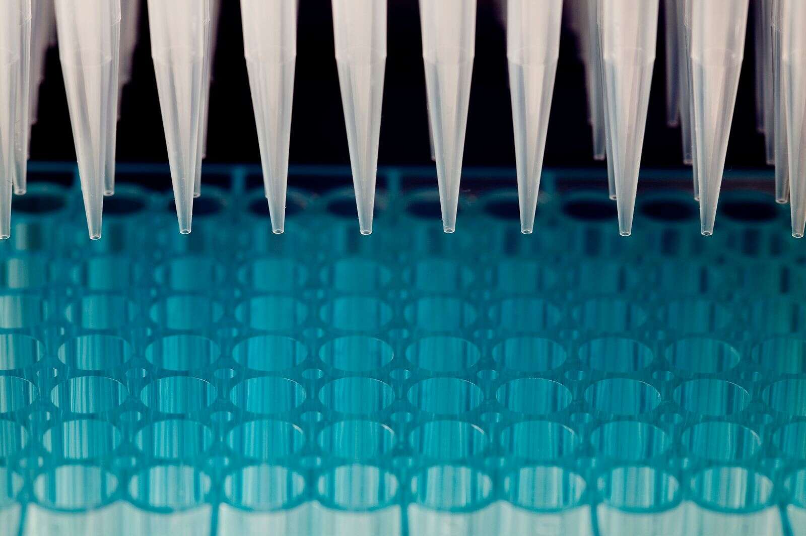 Highest number of community PCR tests carried out since pandemic began ...