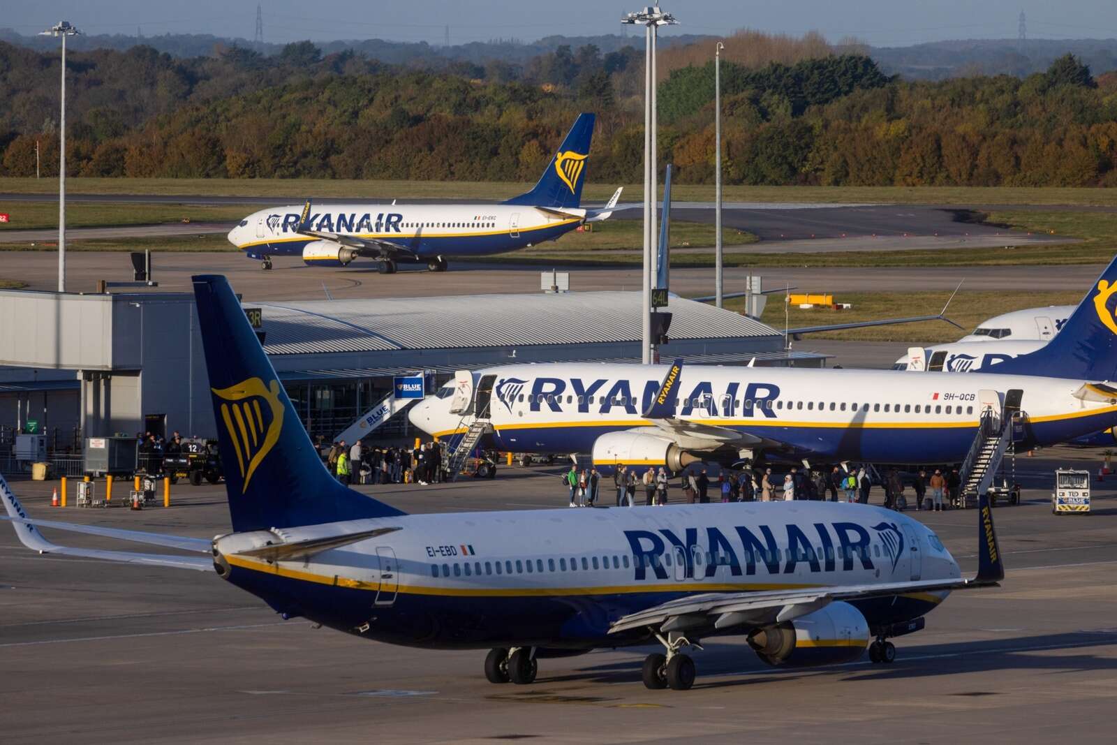 ‘We’ll take them’: Ryanair offers to buy unwanted Boeing Max aircraft ...