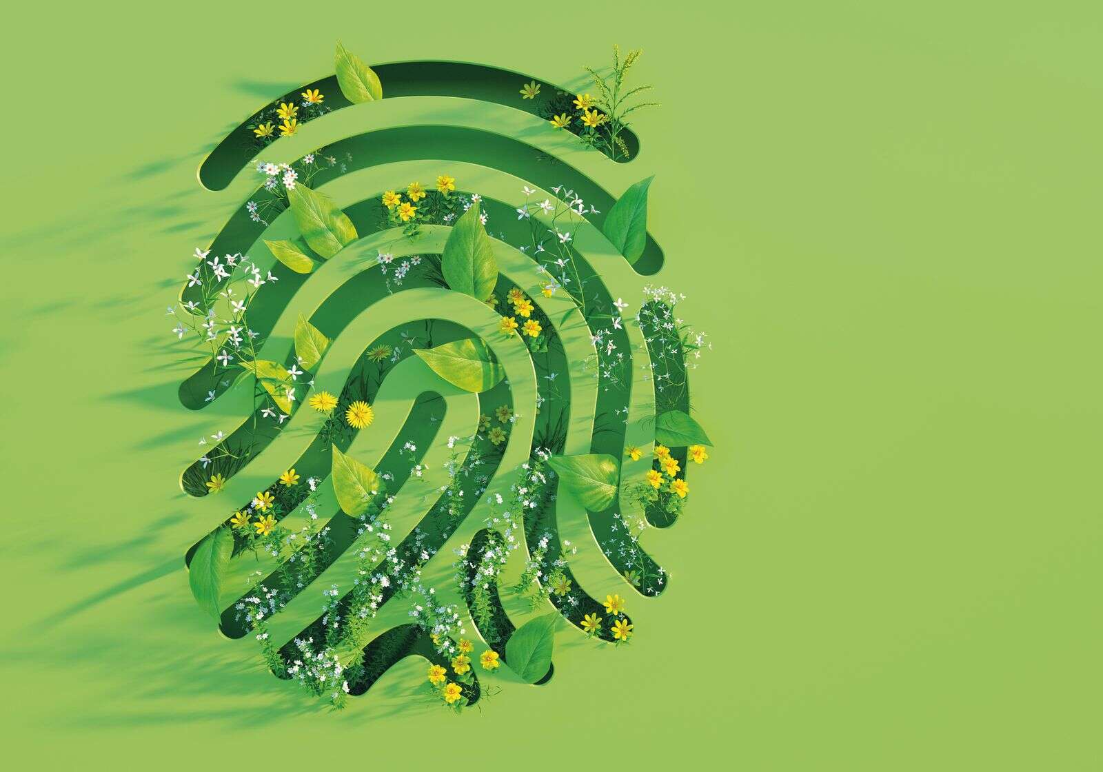 The National Development Plan: a framework for future prosperity ...