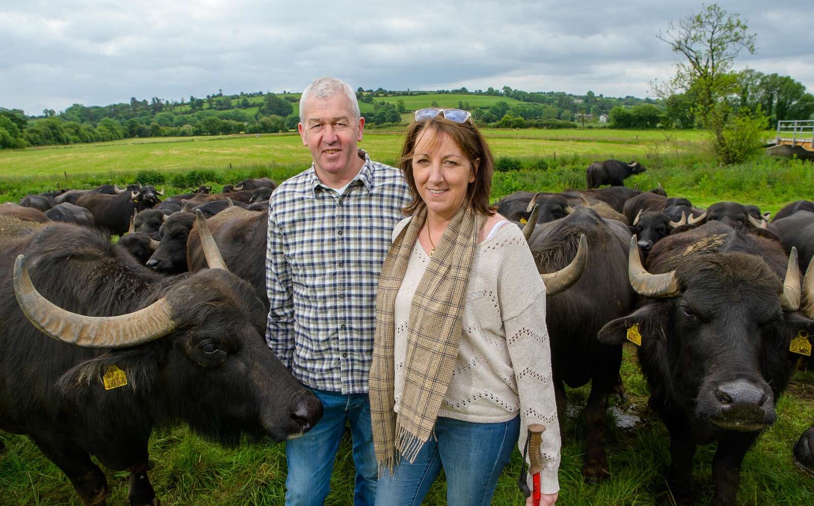 A taste of Italy with a Cork twist: how Macroom Buffalo is fast growing ...