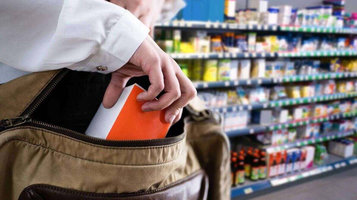 James McDermott: Shoplifting and ‘retail defamation’ claims put stores in a lose-lose situation ...