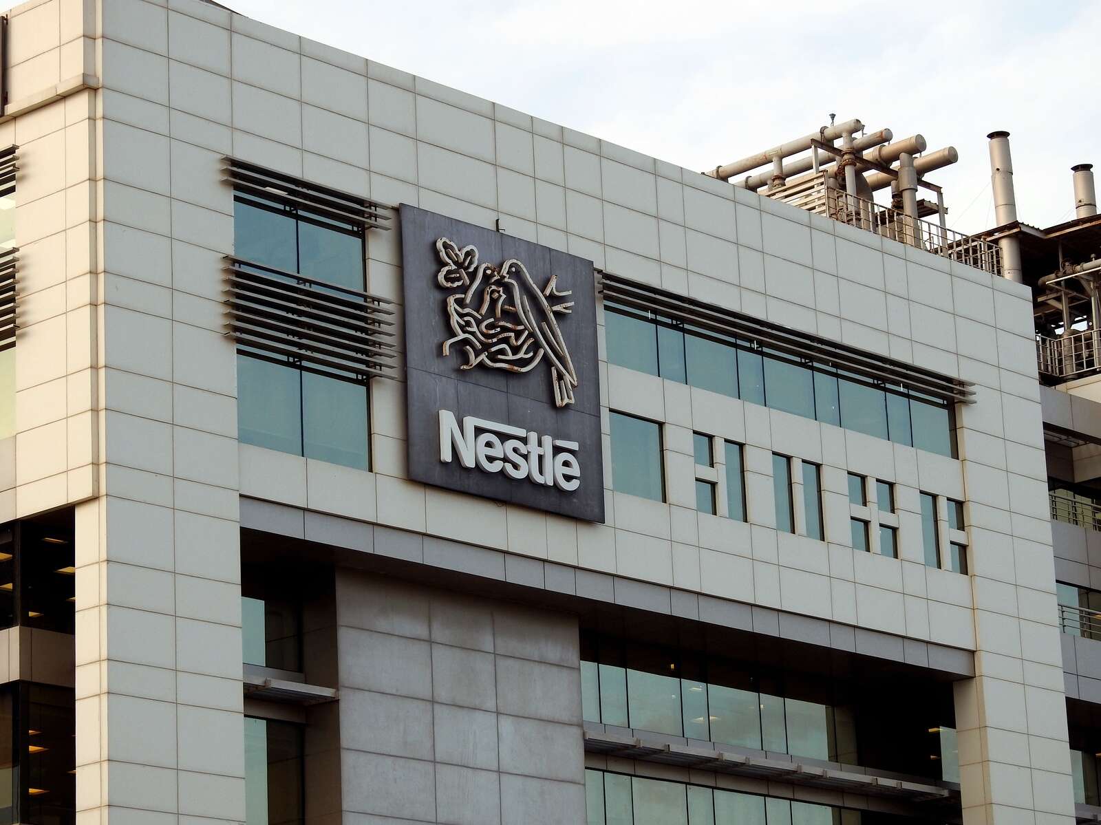 Nestlé gives market sales growth update | Business Post