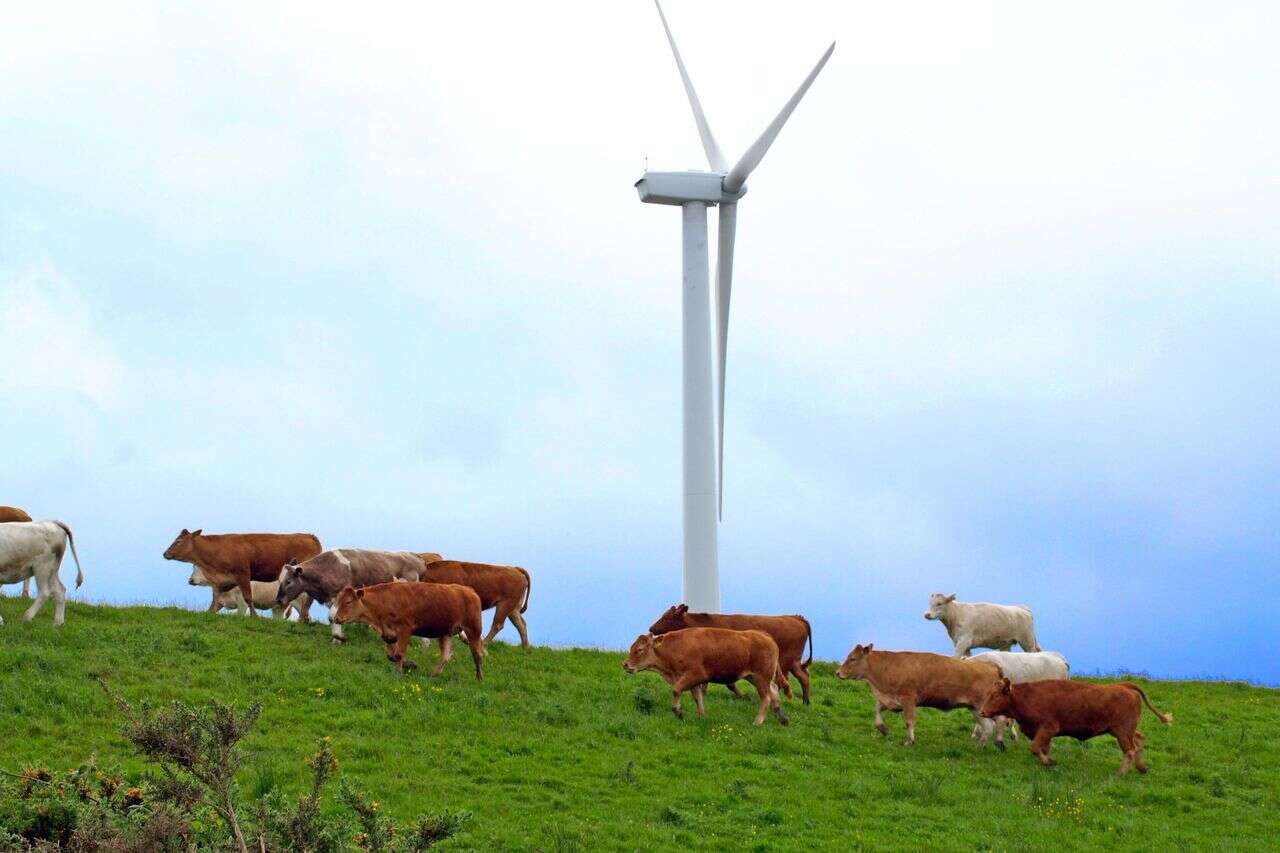 Cavan energy firm Galetech joins forces with UK company Adamas ...