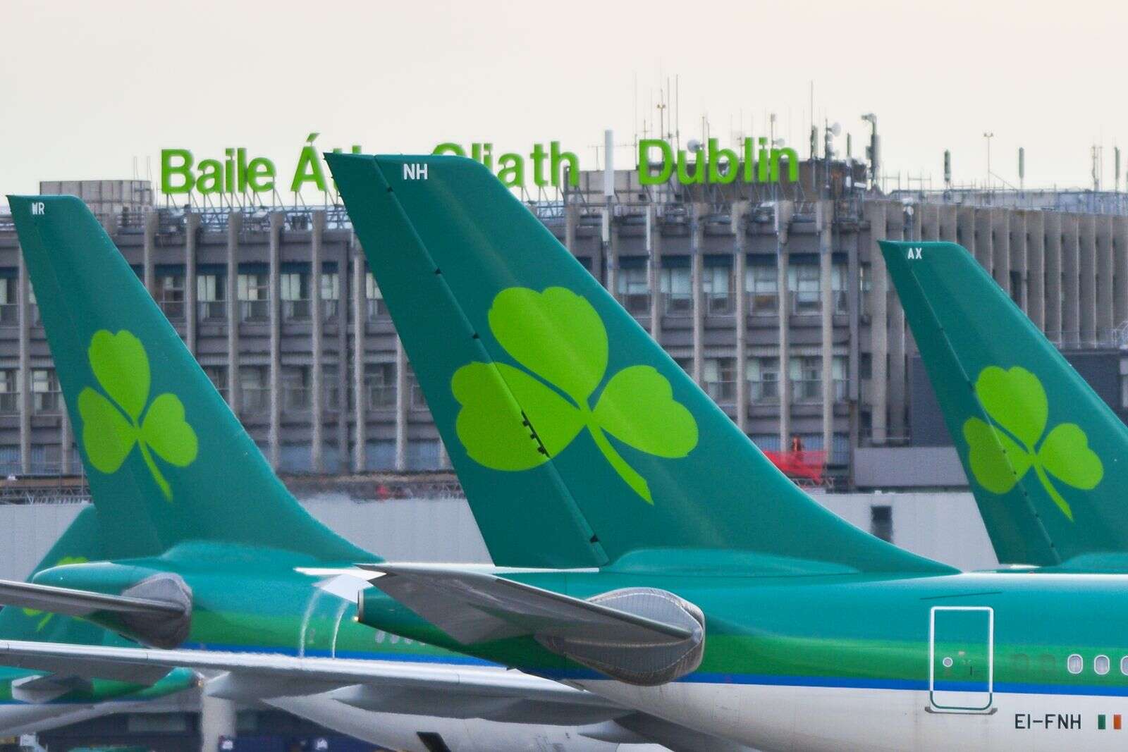 Shares rise in Aer Lingus owner IAG as it mulls 2024 dividend pay out ...