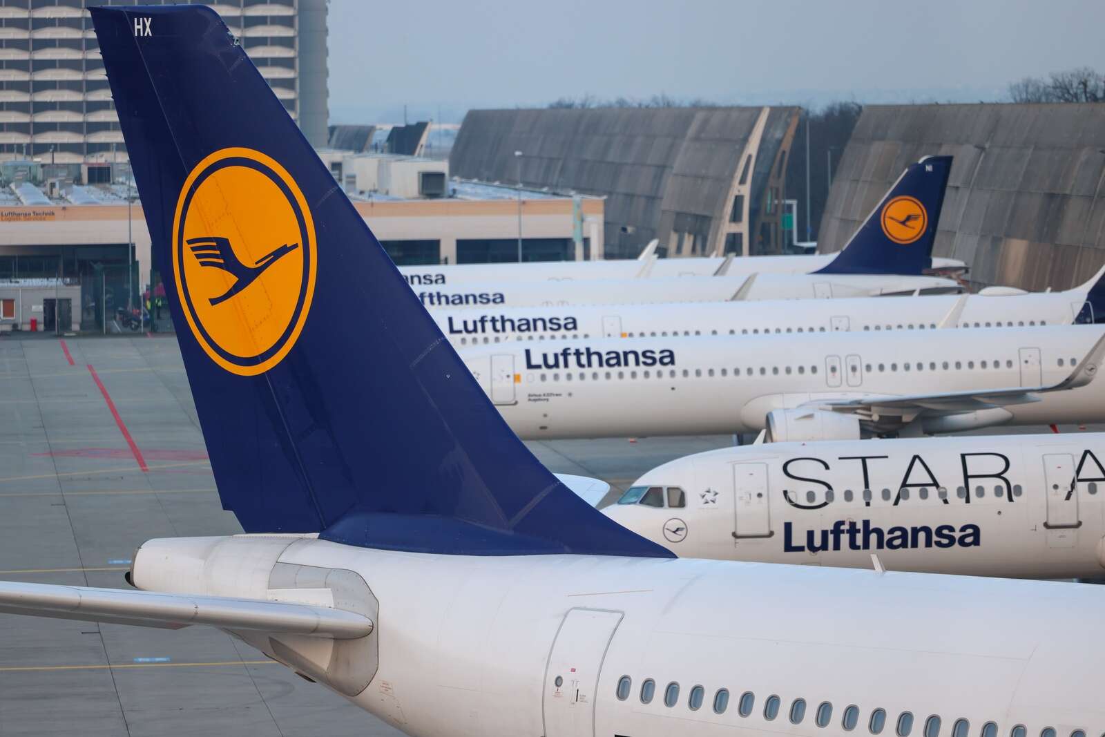 Lufthansa urges patience after turbulent 2024 earnings decline | Business Post