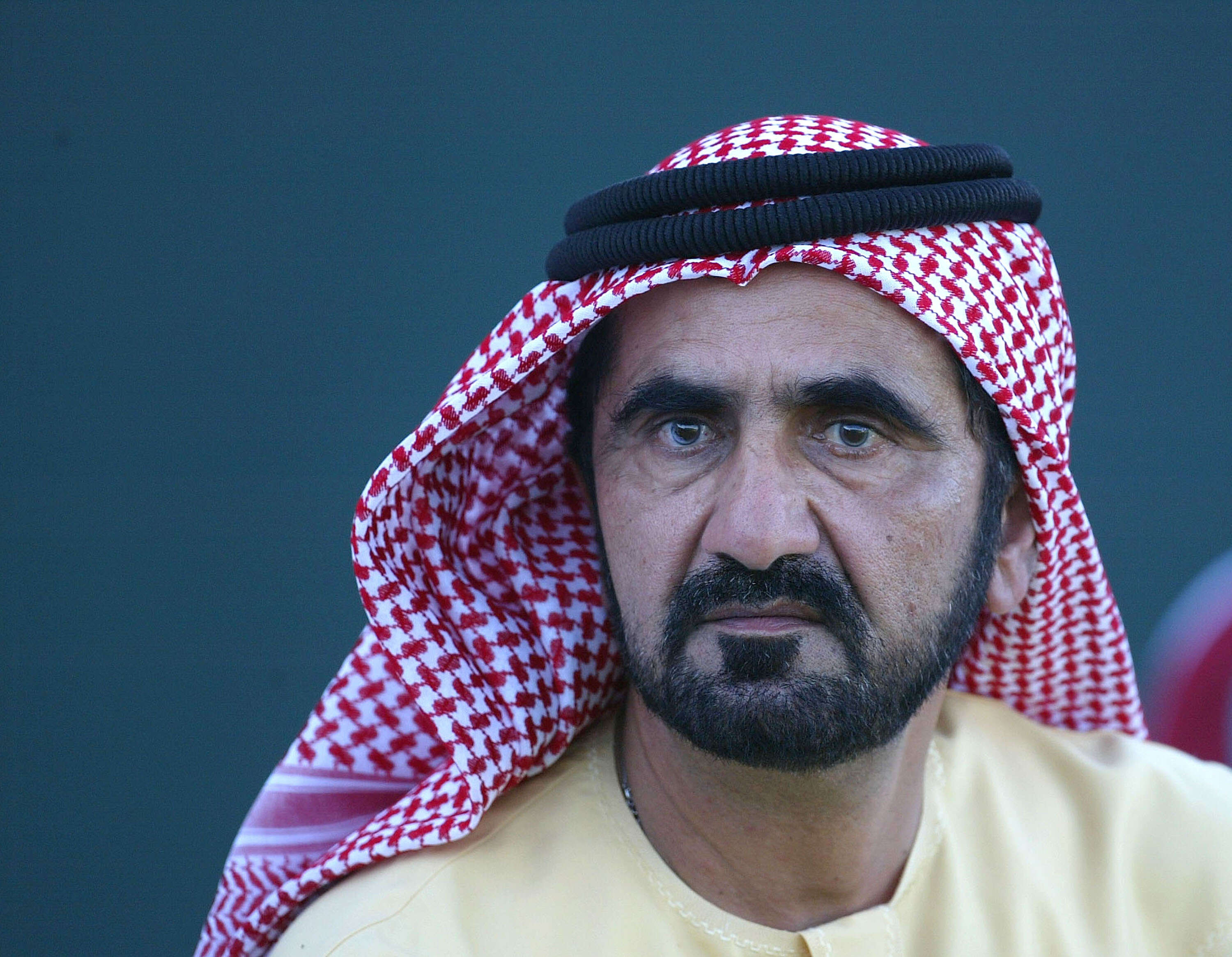 Losses double at Irish arm of Sheikh Mohammed bin Rashid Al Maktoum’s ...