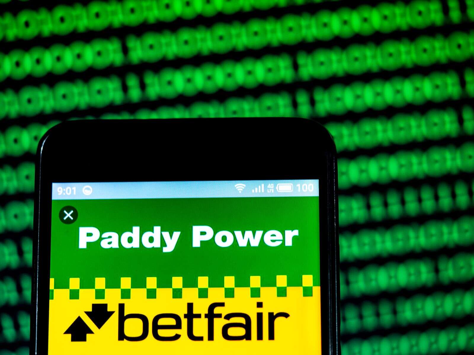 Paddy Power-owner Flutter posts rise in profits as US expansion ...