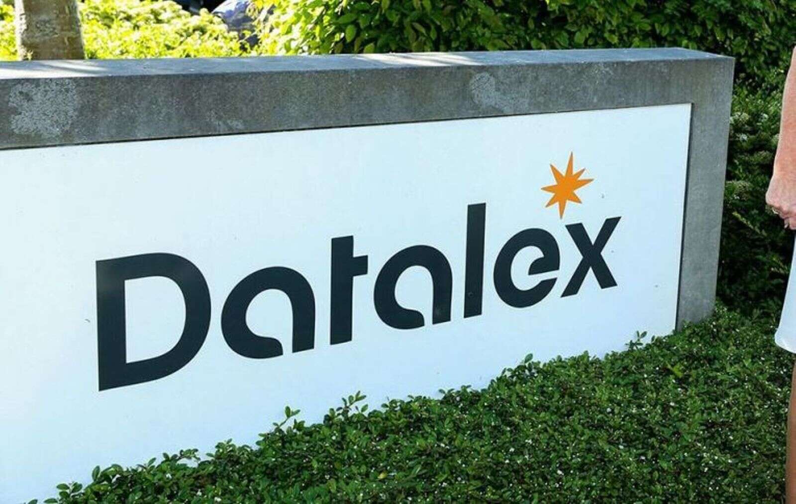 Investor builds stake in Datalex, triggering sale rumours | Business Post