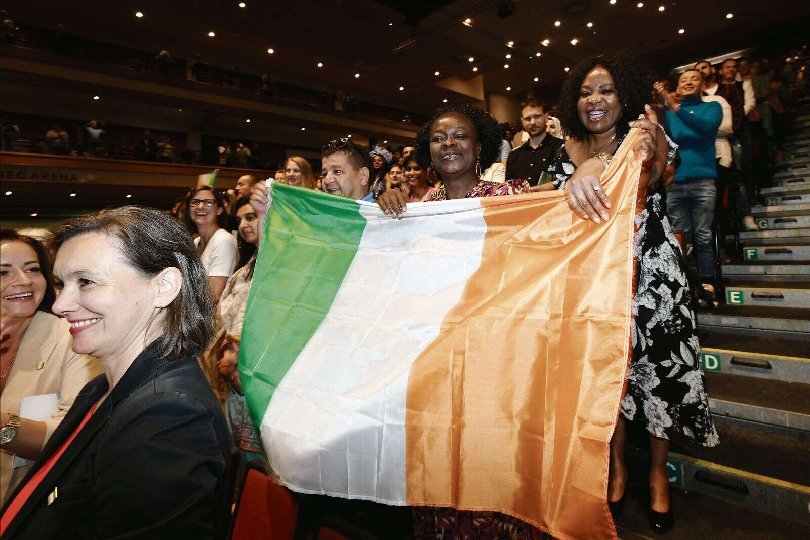 Cara Augustenborg: Immigration can help Ireland to meet its climate ...