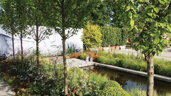 Staying grounded: Niall Maxwell loves the odd wet day | Business Post
