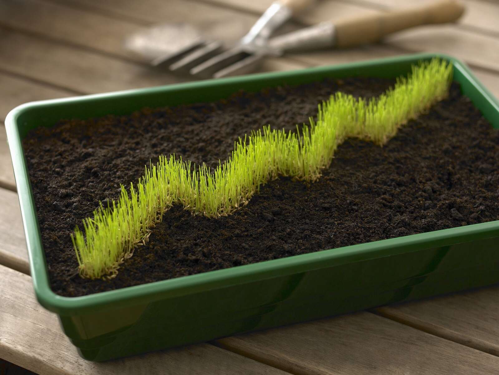 Explainer: Why green bonds have become mainstream but transition bonds ...