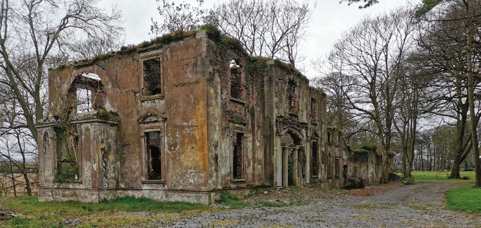 Left Without a Handkerchief: How the Anglo-Irish landed gentry fell ...