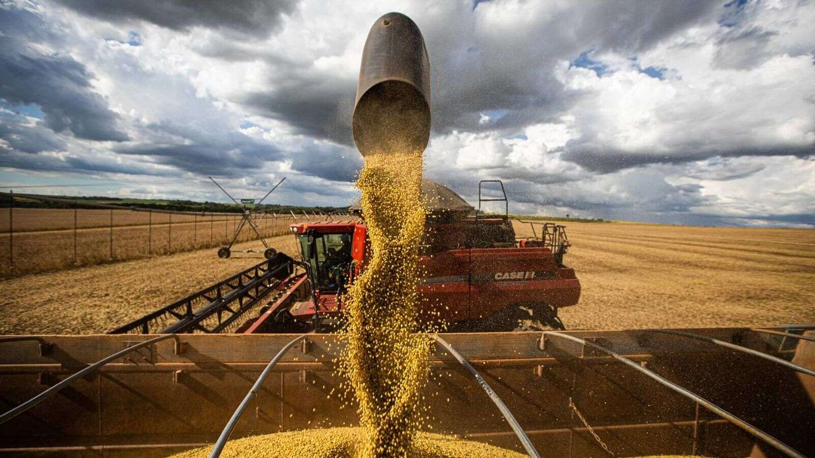 Lorcan Allen: End of Ukraine grain export deal threatens to disrupt ...