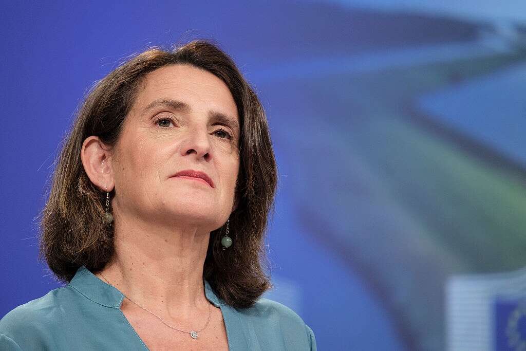 EU denies slow-walking Google antitrust fines | Business Post