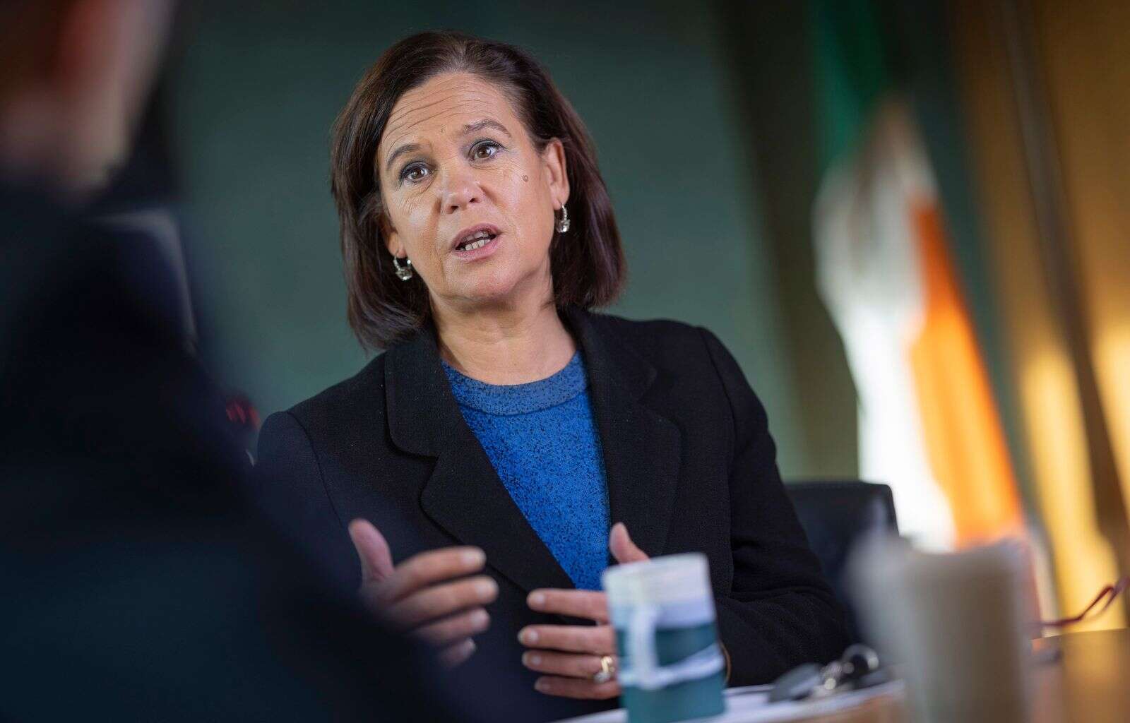 Lucinda Creighton: Sinn Féin will cannibalise all others on left at ...