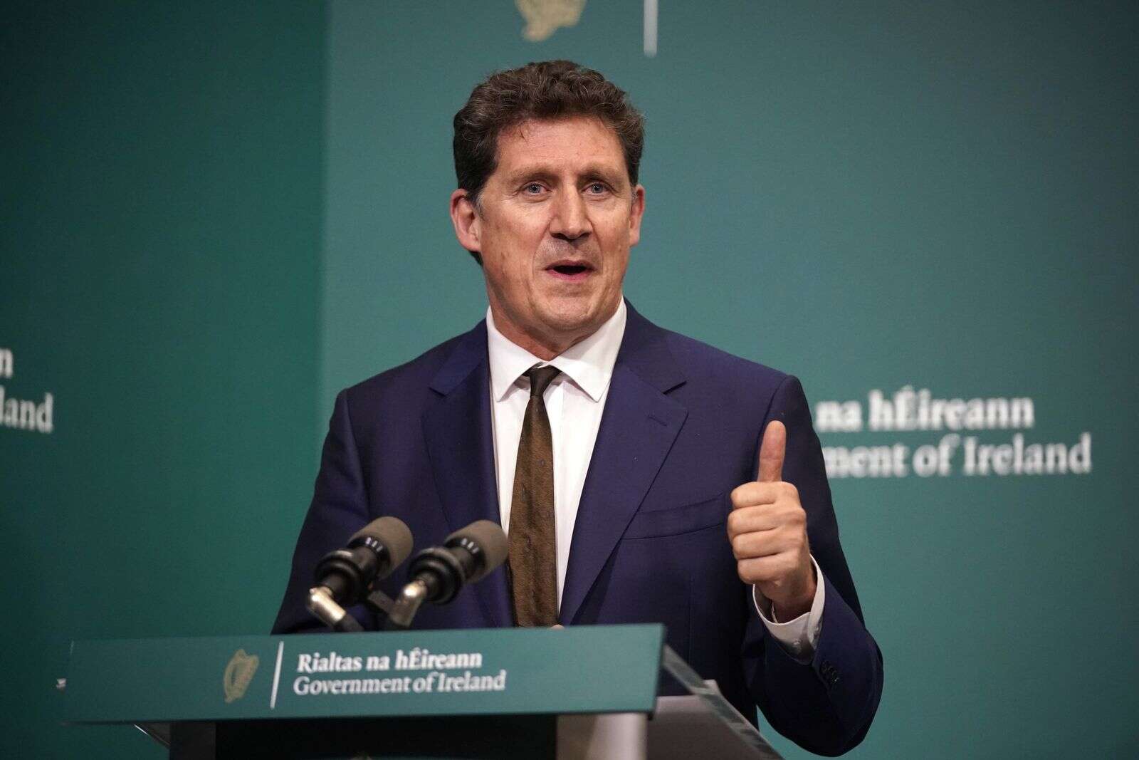 Environment: Eamon Ryan hails ‘historic day’ for nature as government ...