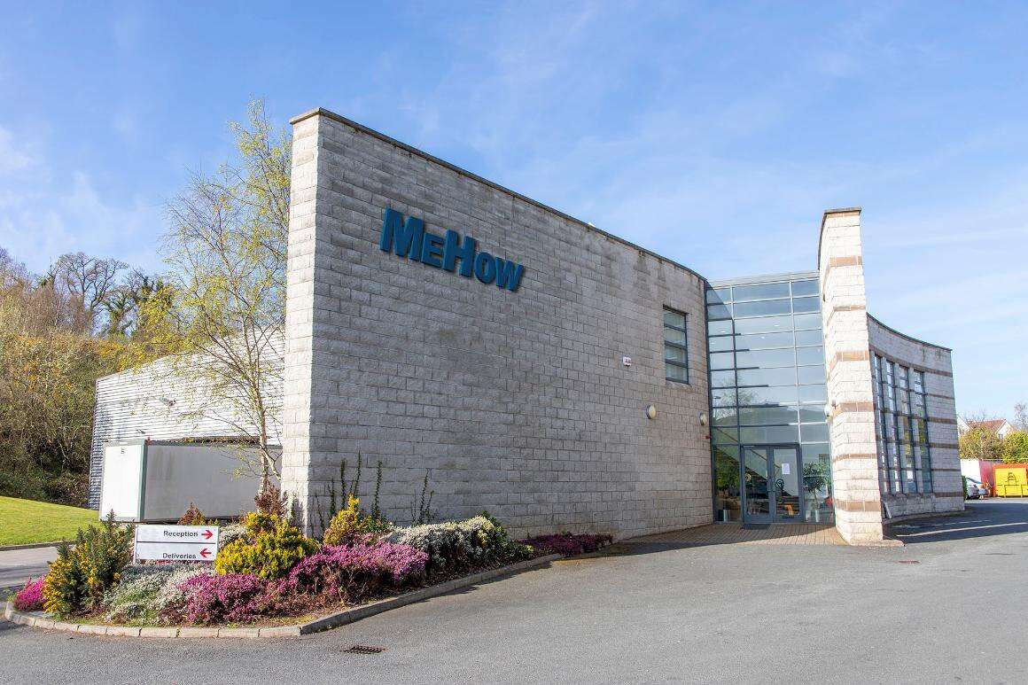 Wicklow medical firm MeHow Medical acquired by Swedish giant | Business ...