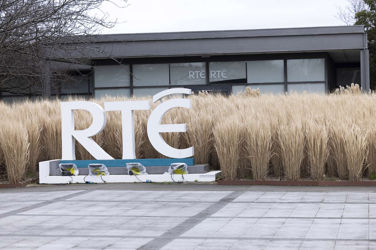 RTÉ board back to full complement after two new appointments confirmed ...