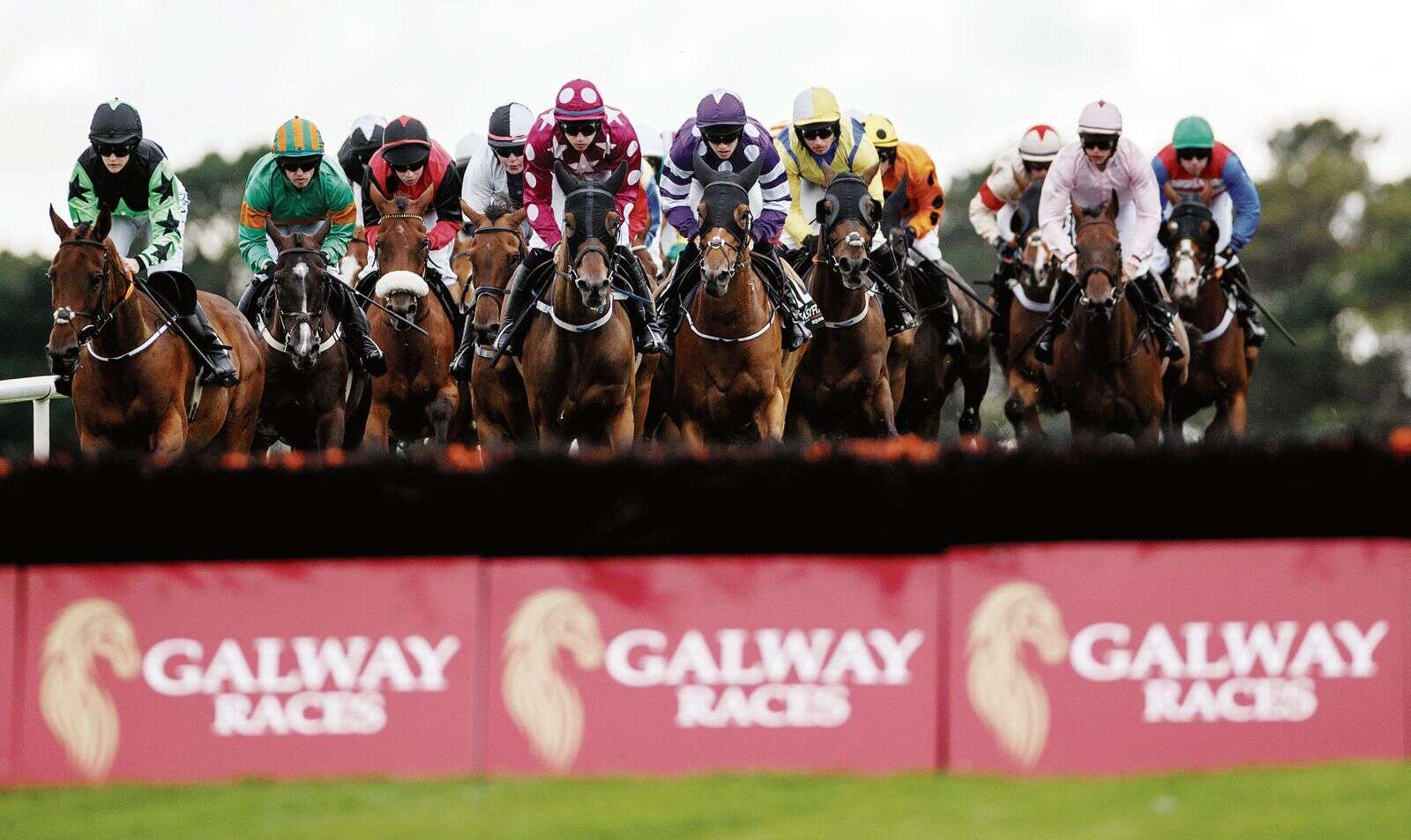Galway Races riding high in spite of stiff hurdles for bookmakers ...