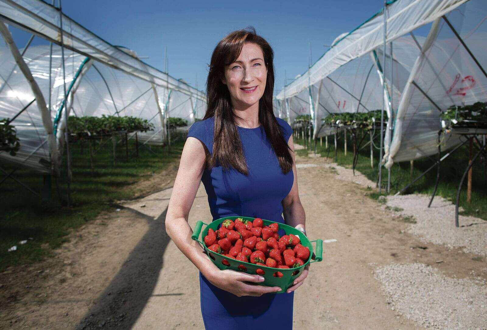 Caroline Keeling steps down as chief executive of Keelings | Business Post