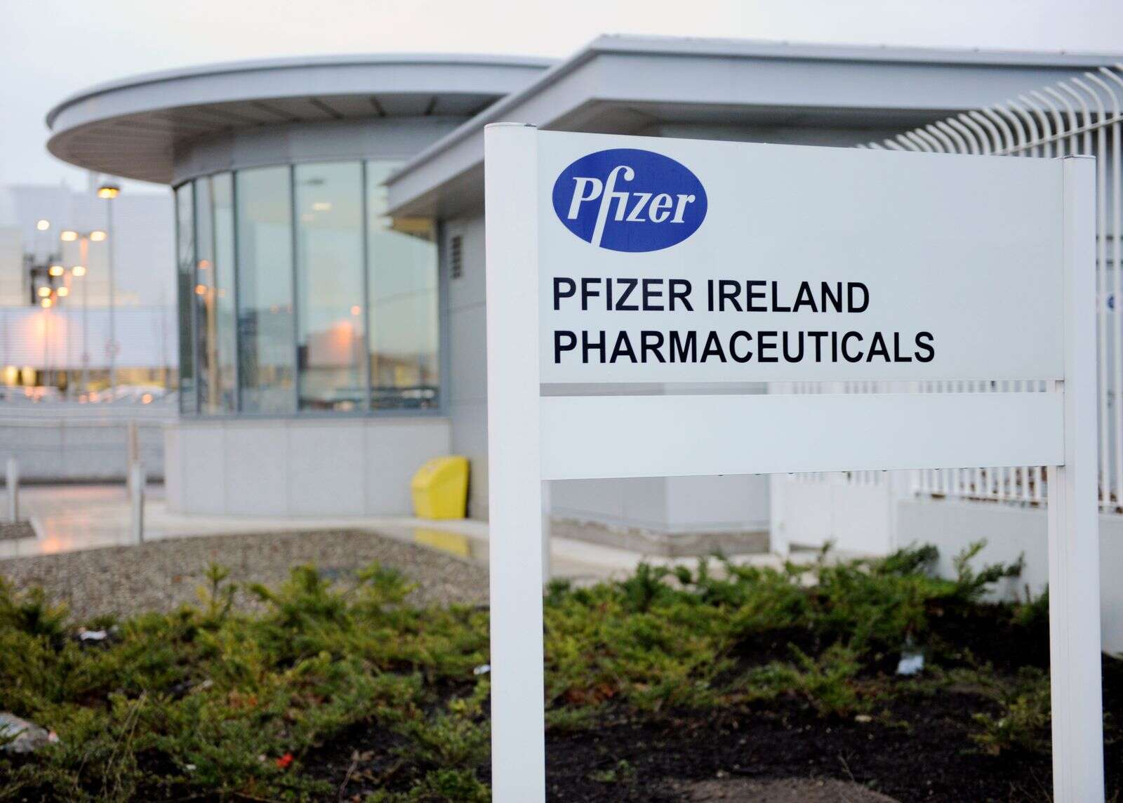Pfizer questioned government over release of records to Business Post ...